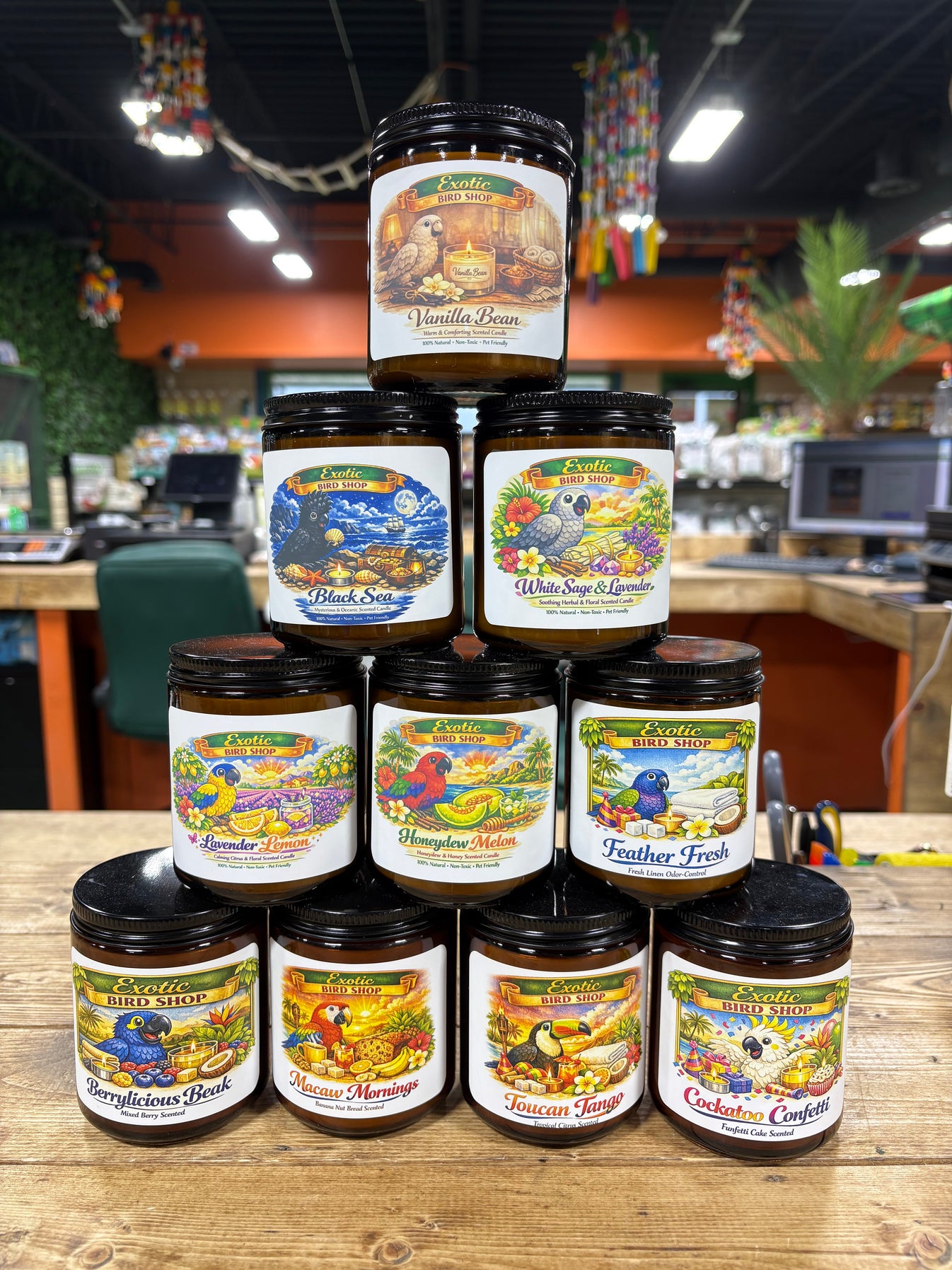 Exotic Bird Shop – Exotic Bird Shop