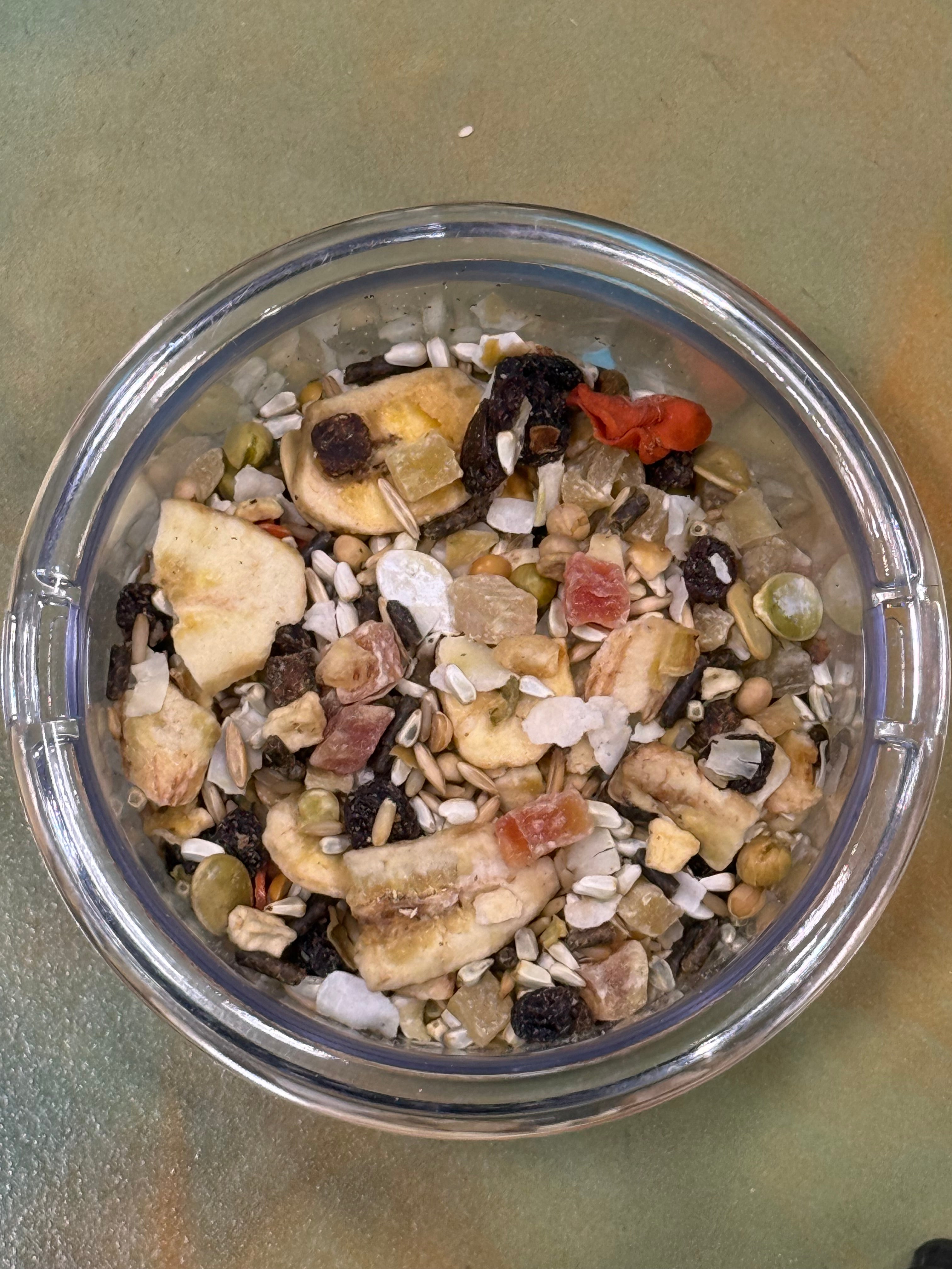 Exotic Bird Shop – Exotic Bird Shop