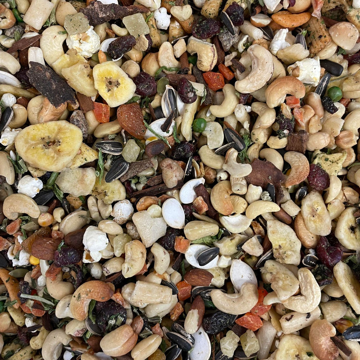 Island Treat- Natures Garden Parrot Blend - BULK FOOD BY THE POUND ...