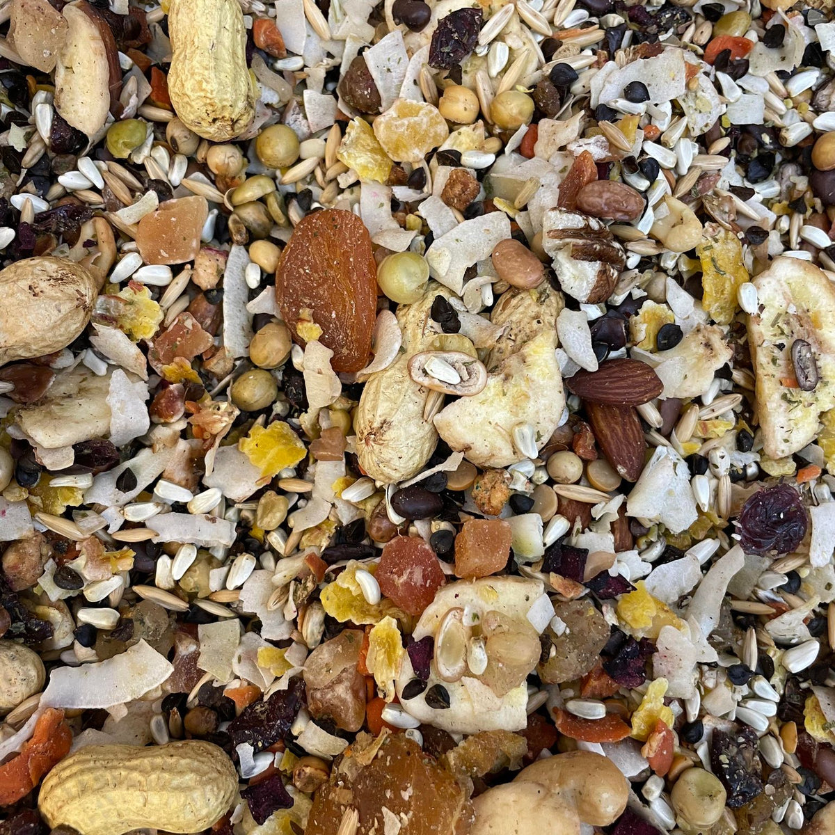 Goldenfeast Paradise Treat Mix - BULK FOOD BY THE POUND – Exotic Bird Shop