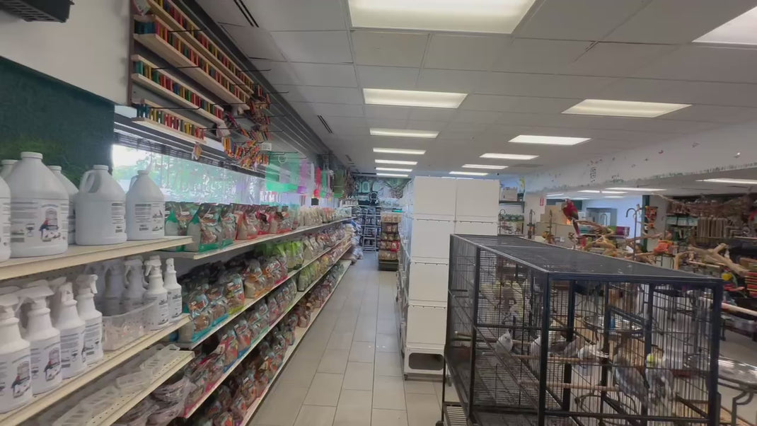 Exotic Bird Shop